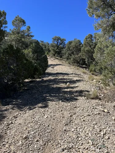 Best Hikes and Trails in Steptoe Park | AllTrails