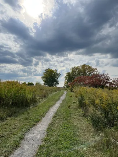 10 Best Trails and Hikes in Buffalo | AllTrails