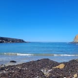 Salt Point Trail to Stump Beach, California - 725 Reviews, Map | AllTrails