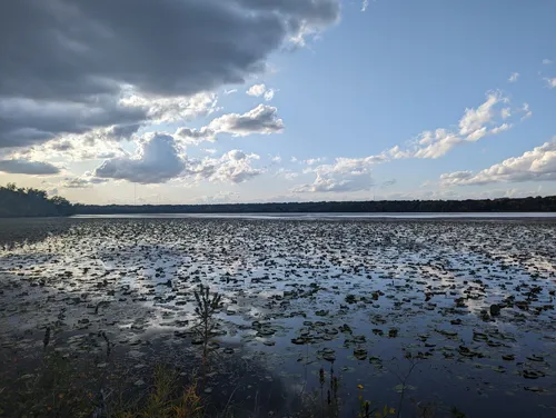 10 Best Trails and Hikes in Madison | AllTrails