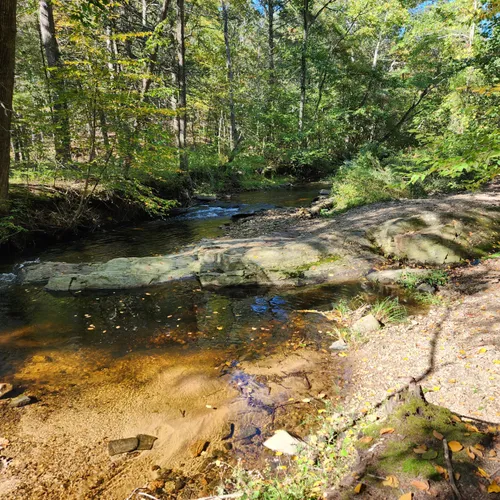 Best Hikes and Trails in Roaring Brook Preserve | AllTrails