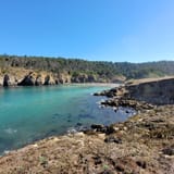 Salt Point Trail to Stump Beach, California - 725 Reviews, Map | AllTrails
