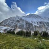Edith Cavell Meadows Trail, Alberta, Canada - 2,330 Reviews, Map ...