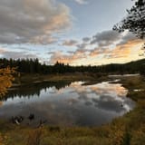Oxbow Trail, Montana - 244 Reviews, Map | AllTrails
