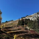 Easy Pass Trail, Washington - 464 Reviews, Map | AllTrails