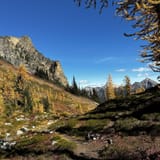 Easy Pass Trail, Washington - 464 Reviews, Map | AllTrails