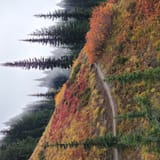 Hawkeye Point via Goat Ridge Trail #95, Washington - 403 Reviews, Map ...