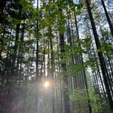 Evergreen State College Trail, Washington - 79 Reviews, Map | AllTrails