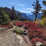 Huntoon Point via Artist Ridge Trail, Washington - 683 Reviews, Map ...
