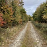 Deep Brook Trail, Nova Scotia, Canada - 8 Reviews, Map | AllTrails