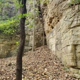 Grandad Bluff Valley Trail, Wisconsin - 195 Reviews, Map | AllTrails