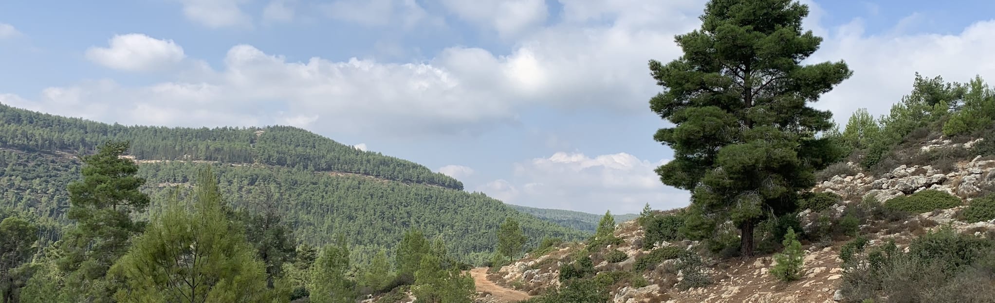 Sataf, Refaim and Aminadav Forest Circuit, Jerusalem, Israel - 8 ...
