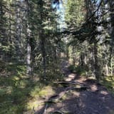 Cory Pass, Alberta, Canada - 1,244 Reviews, Map | AllTrails