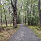 Compass Harbor Trail, Maine - 643 Reviews, Map | AllTrails