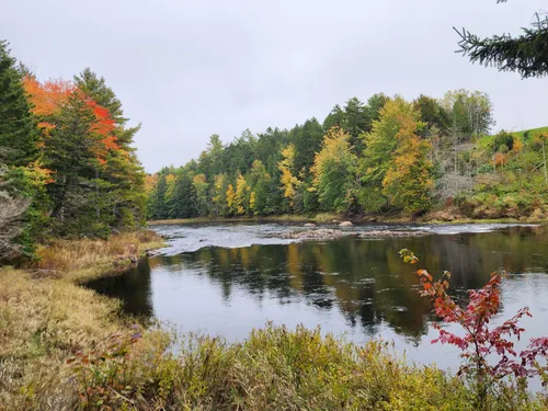 Best Hikes and Trails in Machias | AllTrails