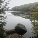 Benedict Pond Loop Trail, Massachusetts - 695 Reviews, Map | AllTrails