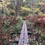 Benedict Pond Loop Trail, Massachusetts - 695 Reviews, Map | AllTrails
