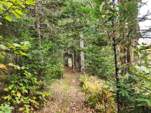 Best Hikes and Trails in Machias | AllTrails