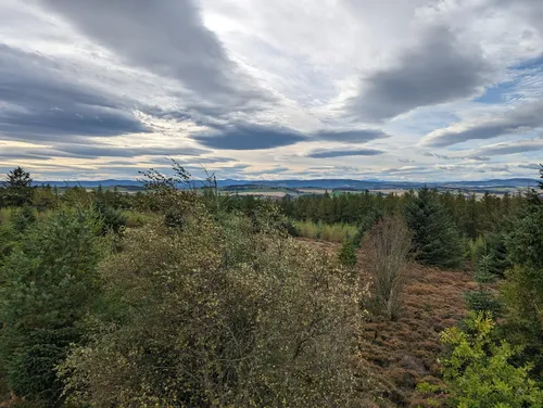 10 Best Trails and Hikes in Aberdeen | AllTrails