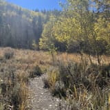 Proctor Mountain Trail, Idaho - 1,213 Reviews, Map | AllTrails
