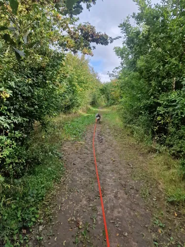 Best Hikes and Trails in Alver Valley Country Park | AllTrails