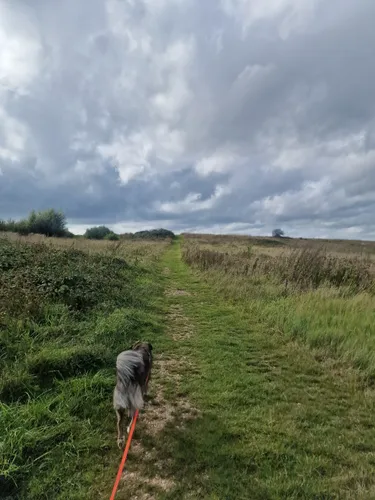 Best Hikes and Trails in Alver Valley Country Park | AllTrails