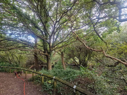 Best Hikes and Trails in Alver Valley Country Park | AllTrails