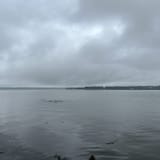 National Colonial Farm Loop, Maryland - 384 Reviews, Map | AllTrails