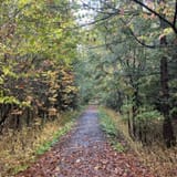 Heber Down Conservation Area Trail, Ontario, Canada - 633 Reviews, Map ...