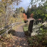 Heber Down Conservation Area Trail, Ontario, Canada - 633 Reviews, Map ...
