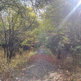 Heber Down Conservation Area Trail, Ontario, Canada - 633 Reviews, Map ...