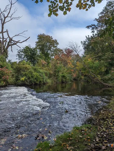 Best Dog Friendly Trails in Manchester | AllTrails