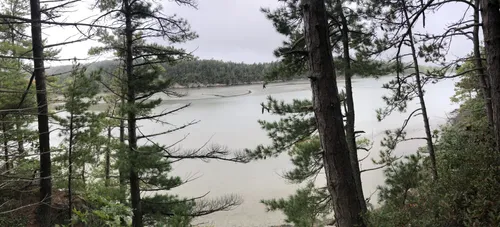 Best Hikes and Trails in Long Reach Preserve | AllTrails