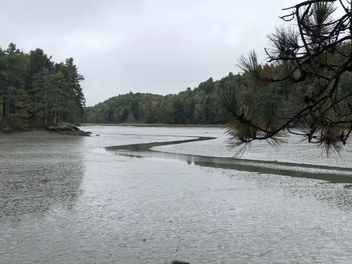 Best Hikes and Trails in Long Reach Preserve | AllTrails