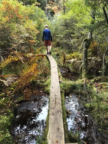 Best Hikes and Trails in Long Reach Preserve | AllTrails