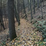 Bee Brook Loop, Connecticut - 1,050 Reviews, Map | AllTrails