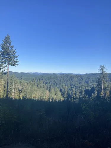 Best Forest Trails in Eddyville | AllTrails