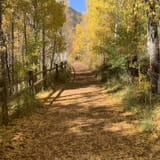 Telluride River Trail, Colorado - 1,138 Reviews, Map | AllTrails