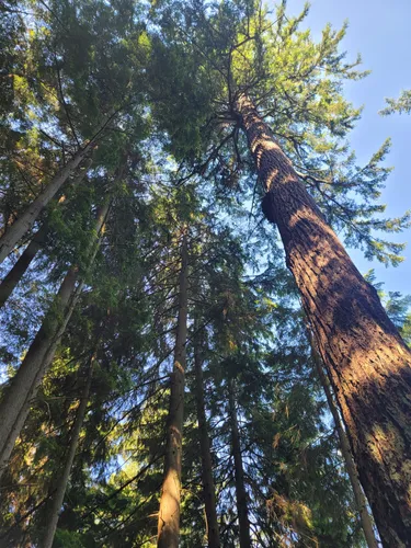 2023 Best Wildlife Trails in Freeland | AllTrails