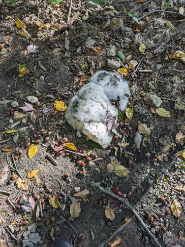 Best Hikes and Trails in Snake Den State Park | AllTrails