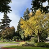 Seward Park Perimeter Loop, Washington - 1,926 Reviews, Map | AllTrails