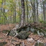 Mount Arab Trail, New York - 2,179 Reviews, Map | AllTrails