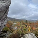 Massie Gap and Wilburn Ridge Loop, Virginia - 854 Reviews, Map | AllTrails