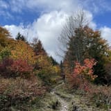Massie Gap and Wilburn Ridge Loop, Virginia - 854 Reviews, Map | AllTrails