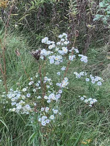 Best Hikes and Trails in Hampshire Forest Preserve | AllTrails