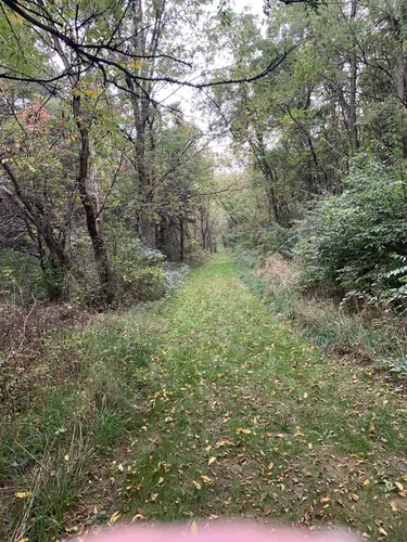 Best Hikes and Trails in Hampshire Forest Preserve | AllTrails