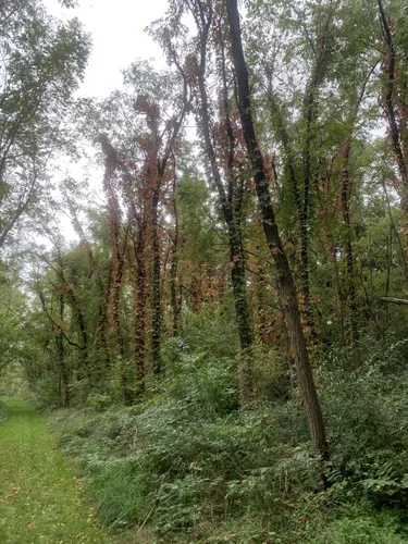 Best Hikes and Trails in Hampshire Forest Preserve | AllTrails