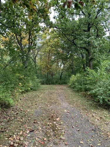 Best Hikes and Trails in Hampshire Forest Preserve | AllTrails