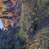 Emigration Canyon Miners Trail, Utah - 719 Reviews, Map | AllTrails