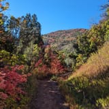 Emigration Canyon Miners Trail, Utah - 719 Reviews, Map | AllTrails